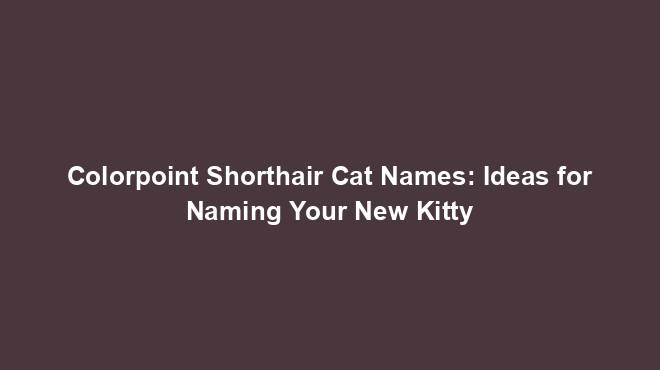Colorpoint Shorthair Cat Names: Ideas for Naming Your New Kitty - Cat ...