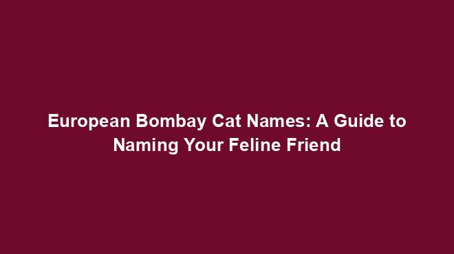 European Bombay Cat Names: A Guide to Naming Your Feline Friend - Cat ...