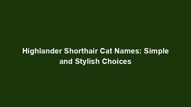 Highlander Shorthair Cat Names: Simple and Stylish Choices - Cat Names ...
