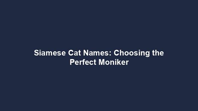 Siamese Cat Names: Choosing the Perfect Moniker - Cat Names Finder
