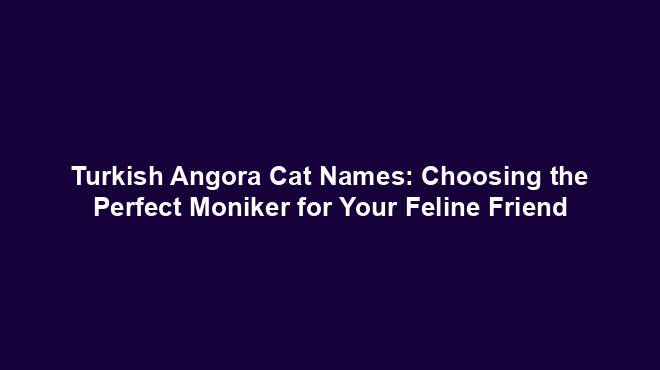 Turkish Angora Cat Names: Choosing the Perfect Moniker for Your Feline ...