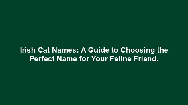 Irish Cat Names: A Guide to Choosing the Perfect Name for Your Feline ...