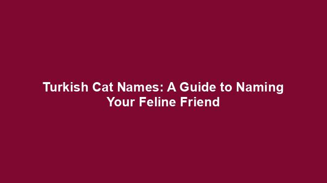Turkish Cat Names: A Guide to Naming Your Feline Friend - Cat Names Finder